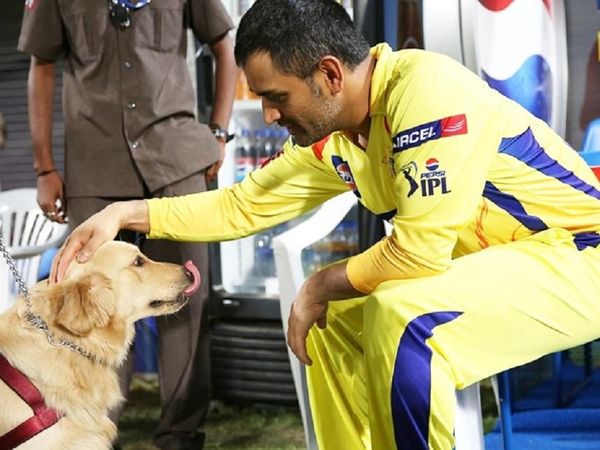 MS Dhoni Retirement, जानवरों से प्यार के लिए भी याद रहेंगे महेंद्र सिंह ...