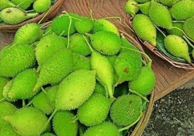 Health Benefits of Kantola (Spiny Gourd) in hindi बेहद ताकतवर होती है ...