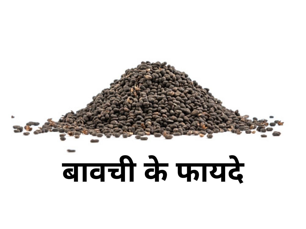 Benefits of Bakuchi: Health Benefits, Uses and Disadvantages of Bakuchi ...