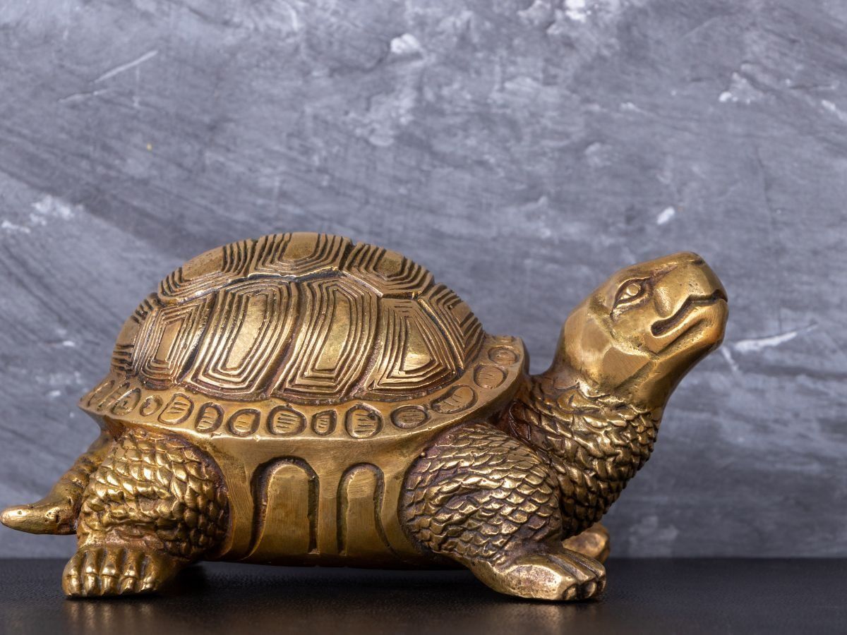 Vastu Tips: Copper turtle is considered auspicious know the benefits of ...