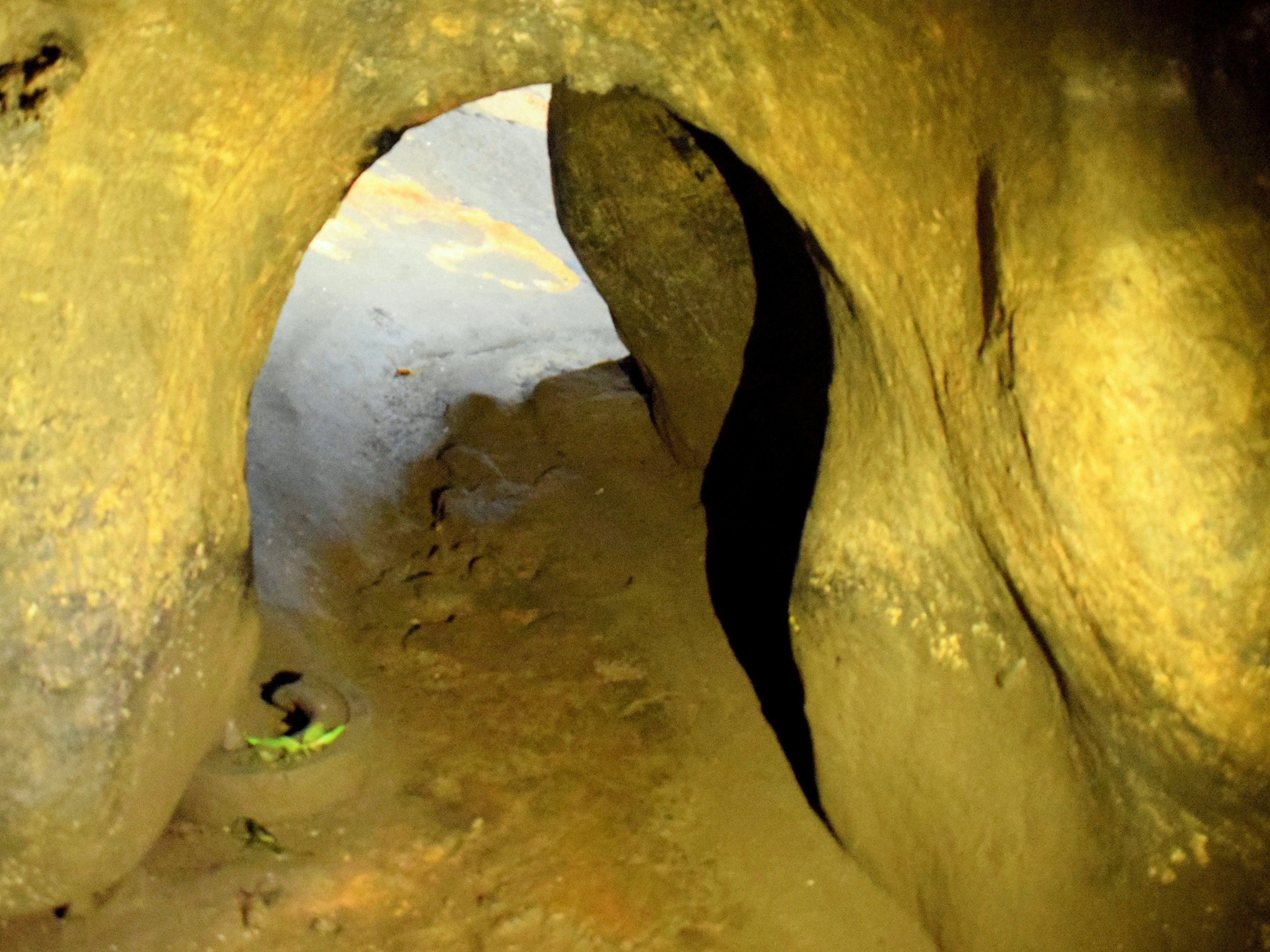 Patal Bhubaneswar cave temple of Uttarakhand | Uttarakhand temple ...