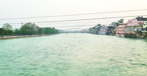 Ganga: लॉकडाउन में गंगा हो गई इतनी साफ कि यकीन नहीं होता, सामने आया ये ...