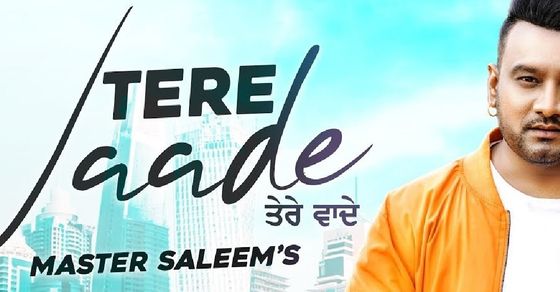 Master Saleem New Song: पंजाबी सिंगर मास्टर सलीम का नया गाना हुआ रिलीज ...