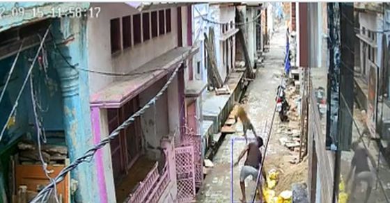 Viral Video Man Fight With Monkey Gang Then What Happens Watch Shocking ...