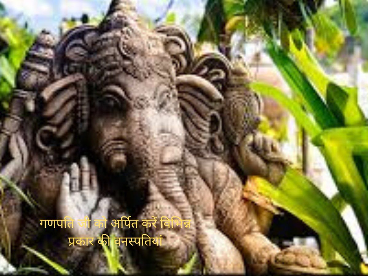 Ganapathi Plant saplings: गणपति जी पर इन वनस्पतियों को चढ़ाने से दूर ...