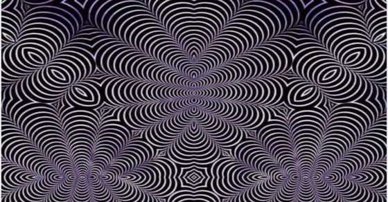 Viral Photo People Shocked After See this Optical Illusion viral Photo ...
