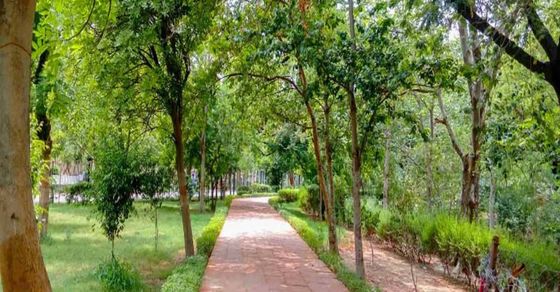 Traffic will be restricted on Paliwal Park route in Agra city-आगरा शहर ...