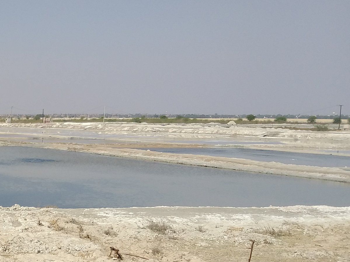 Rajasthan News: Rajasthan News Salt is made from ground water here the ...