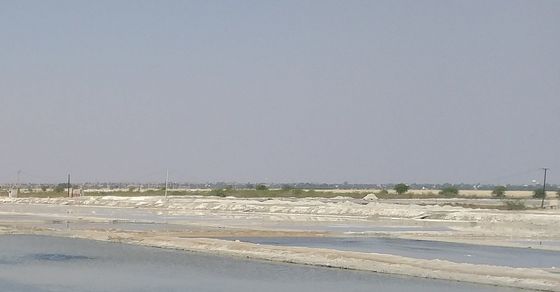 Rajasthan News: Rajasthan News Salt is made from ground water here the ...