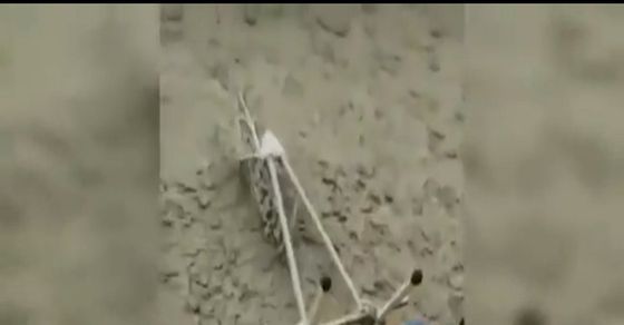 Tiddi ka hamla, Locust Attack: फसल बर्बाद करने के आरोप में शख्स ने ...