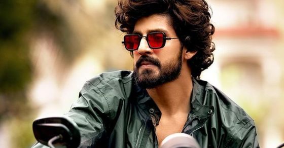 Film Liger Villain Vishu Reddy Profile: Films, Movies, Production House ...