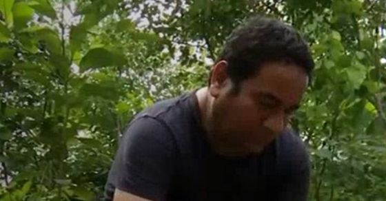 IRS Officer Rohit Mehra पिछले एक साल से चला रहे जंगल मिशन