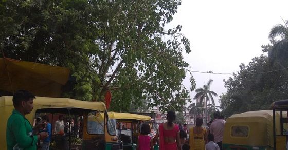 Lucknow News: Auto and rickshaw drivers will no longer run in Lucknow ...