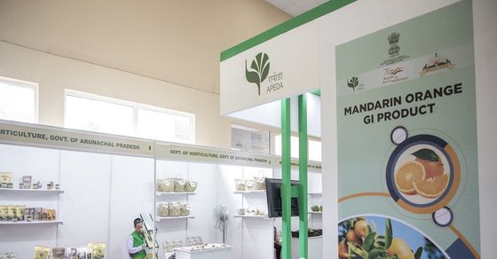 GI Products Gallery Varanasi: The first gallery of GI products is being ...