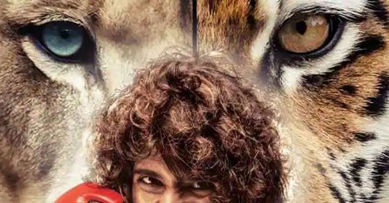 Liger Box Office Collection Day 8: विजय देवरकोंडा की 'लाइगर' का हुआ ...