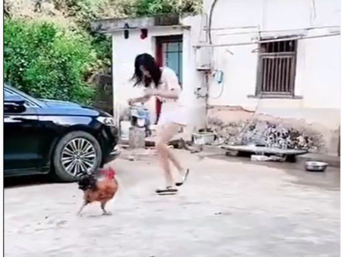 Murga Funny Video Chicken Attack on Girl Funny Viral Video in Hindi ...