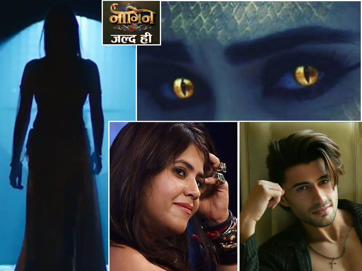 Naagin 6 Starcast To Story on air date all details: Naagin 6 Ekta ...