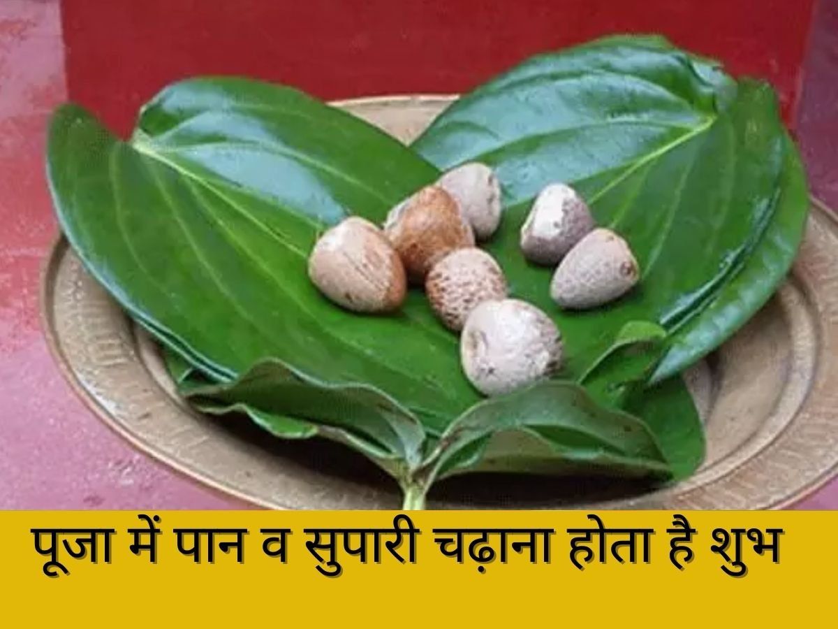 Benefits Of Paan Leaf and Supari: Benefits Of Paan Leaf and Supari betel nut on worship puja ...