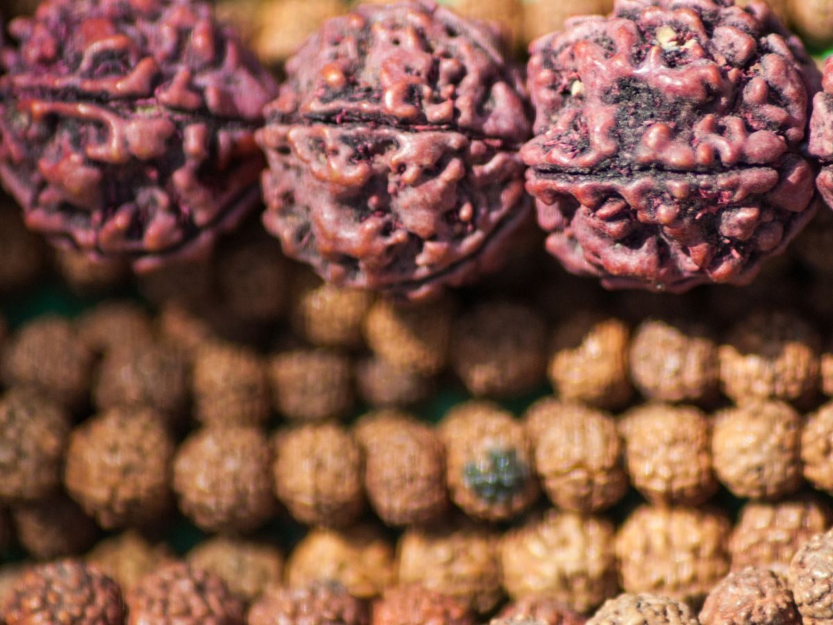 How To Identify real and fake Rudraksha : Lord shiva puja in sawan ...