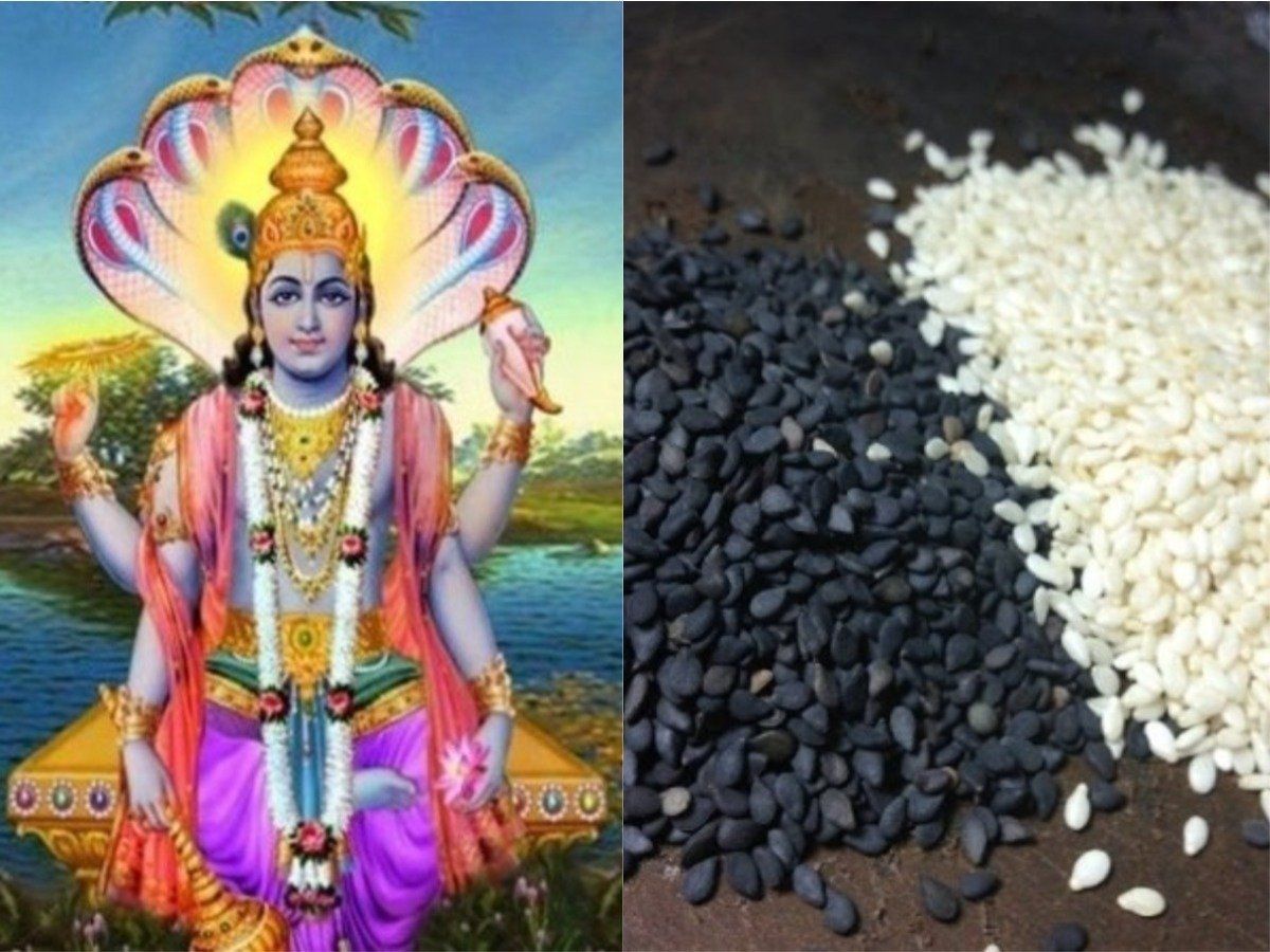 माघ एकादशी ही है षटतिला एकादशी, जानें इस द‍िन पूर्वजों के नाम त‍िल दान ...