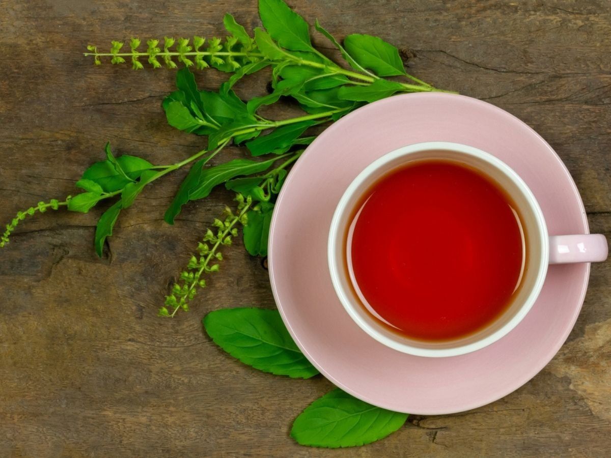 Tulsi Chai Recipe, How to make Tulsi ki Chai at home, Winter spiceal ...