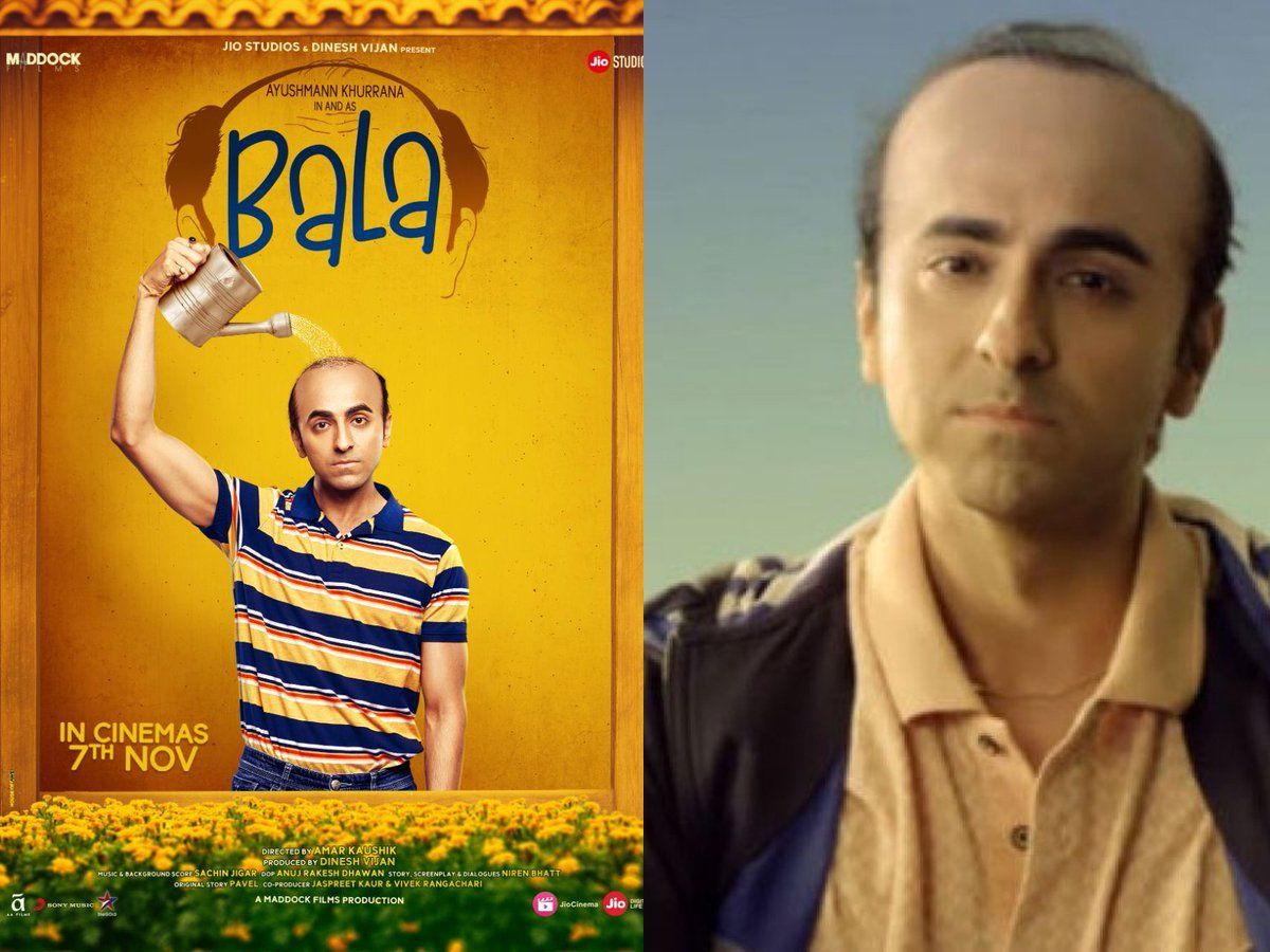 Bala Box Office: बाला की कमाई पांच दिन में 60 करोड़ पार, आयुष्‍मान ...