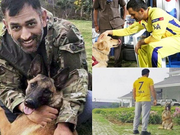 MS Dhoni Retirement, जानवरों से प्यार के लिए भी याद रहेंगे महेंद्र सिंह ...
